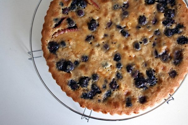 Blueberry almond custard tart recipe