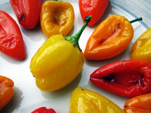 Oven roasted mini sweet peppers - Recipe Petitchef